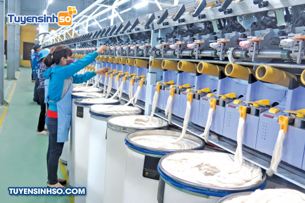 Những điều cần biết về ngành Công nghệ vật liệu dệt may